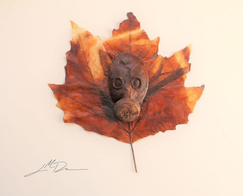 Leaf Art: Artist creates intriguing artwork on fallen leaves