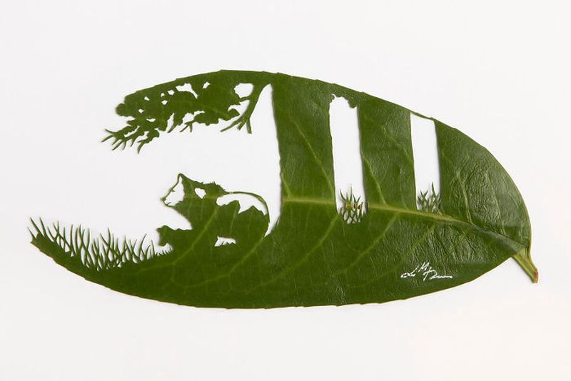 Leaf Art: Artist creates intriguing artwork on fallen leaves