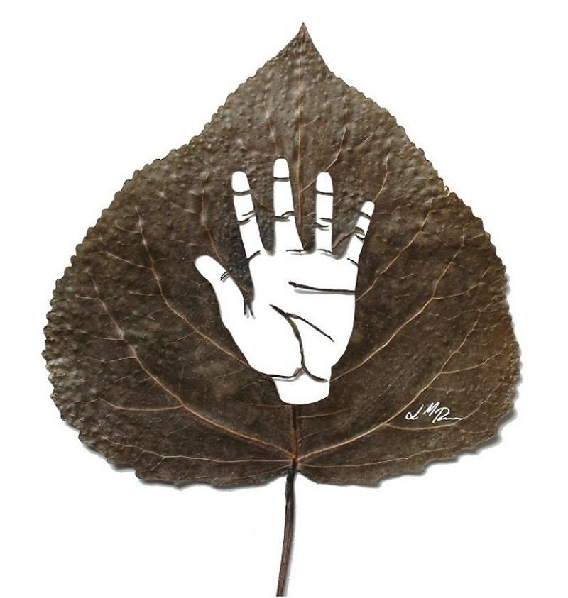 Leaf Art: Artist creates intriguing artwork on fallen leaves